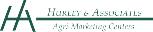 Log In to Hurley & Associates Portal